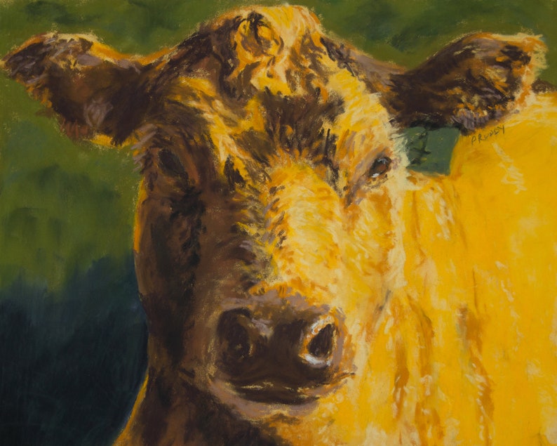 Yellow Cow a Colourful Animal Portrait in Soft Pastels by Pamela Ruddy ...