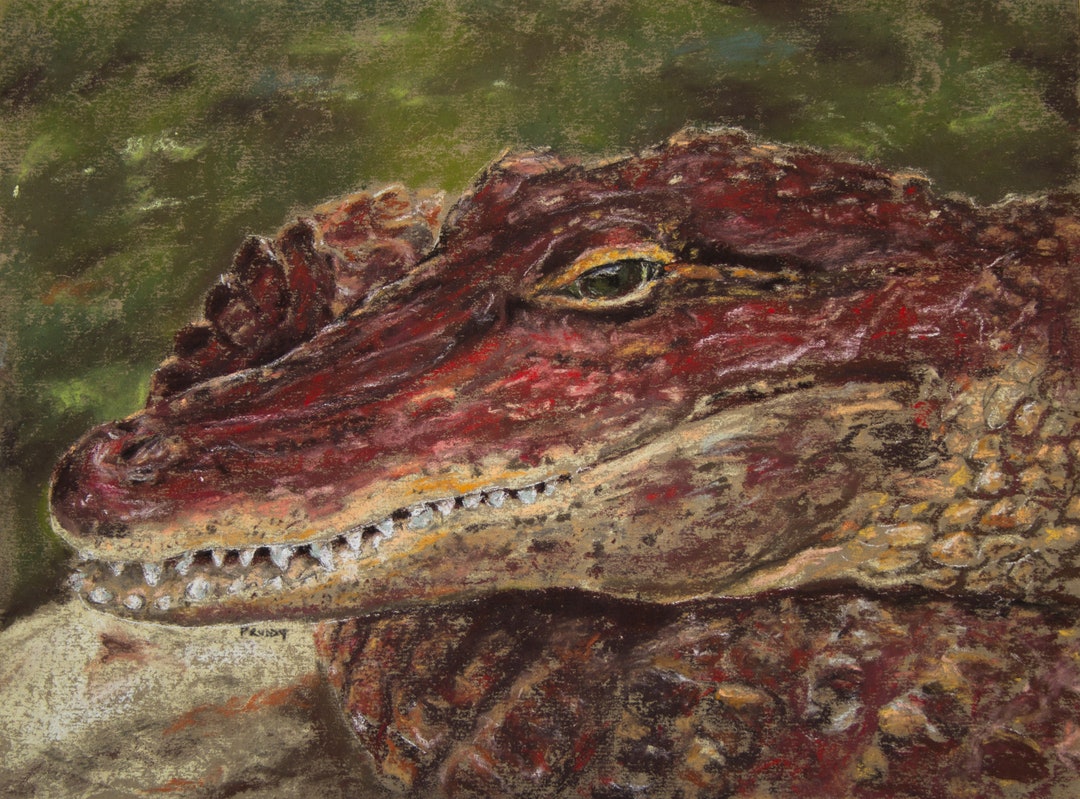 Red Crocodile - a Colourful Animal Portrait in Soft Pastels by Pamela ...