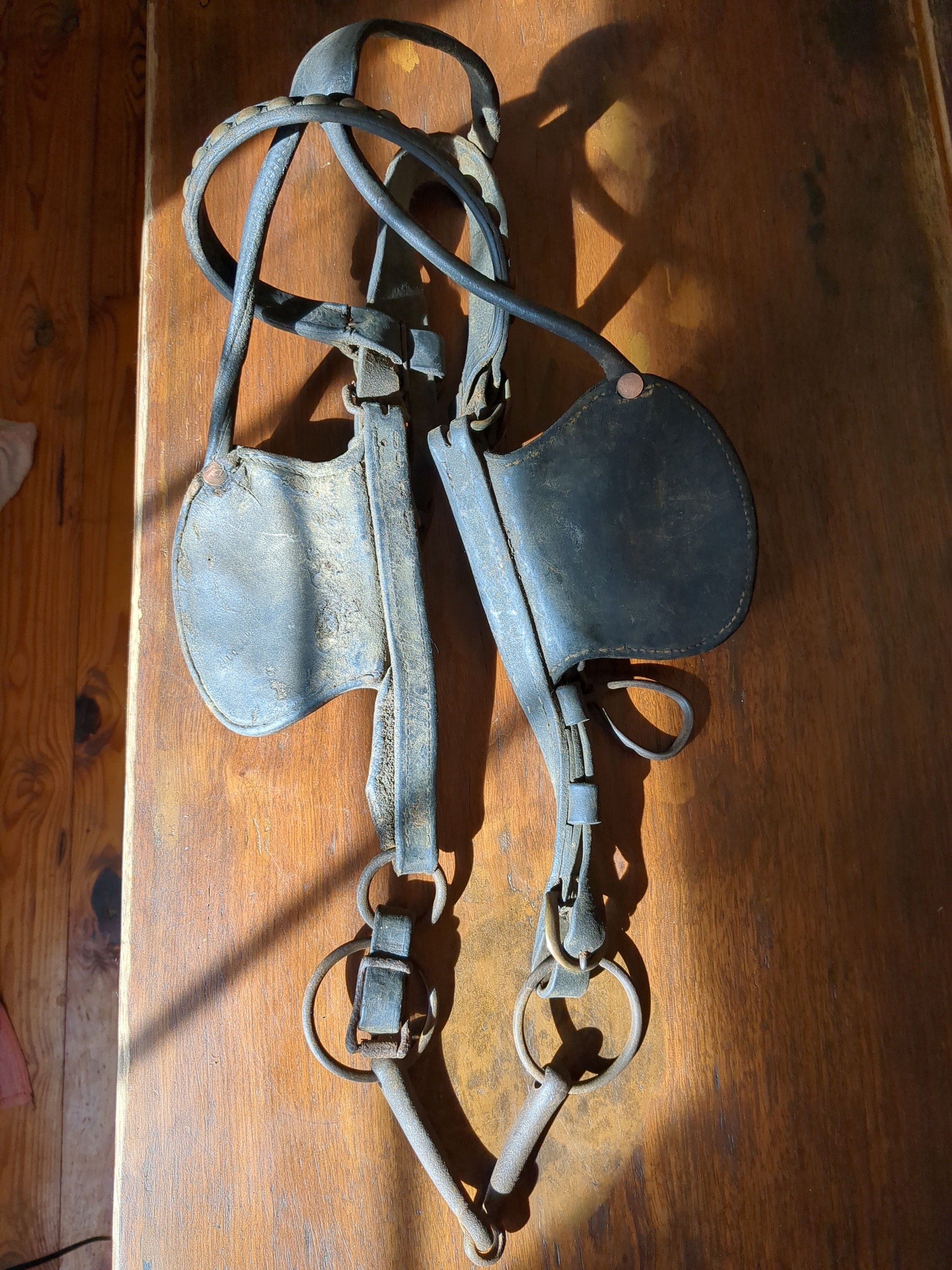 Antique, Primitive Horse Bridle/leather/brass Buckles, Brass Rosettes ...