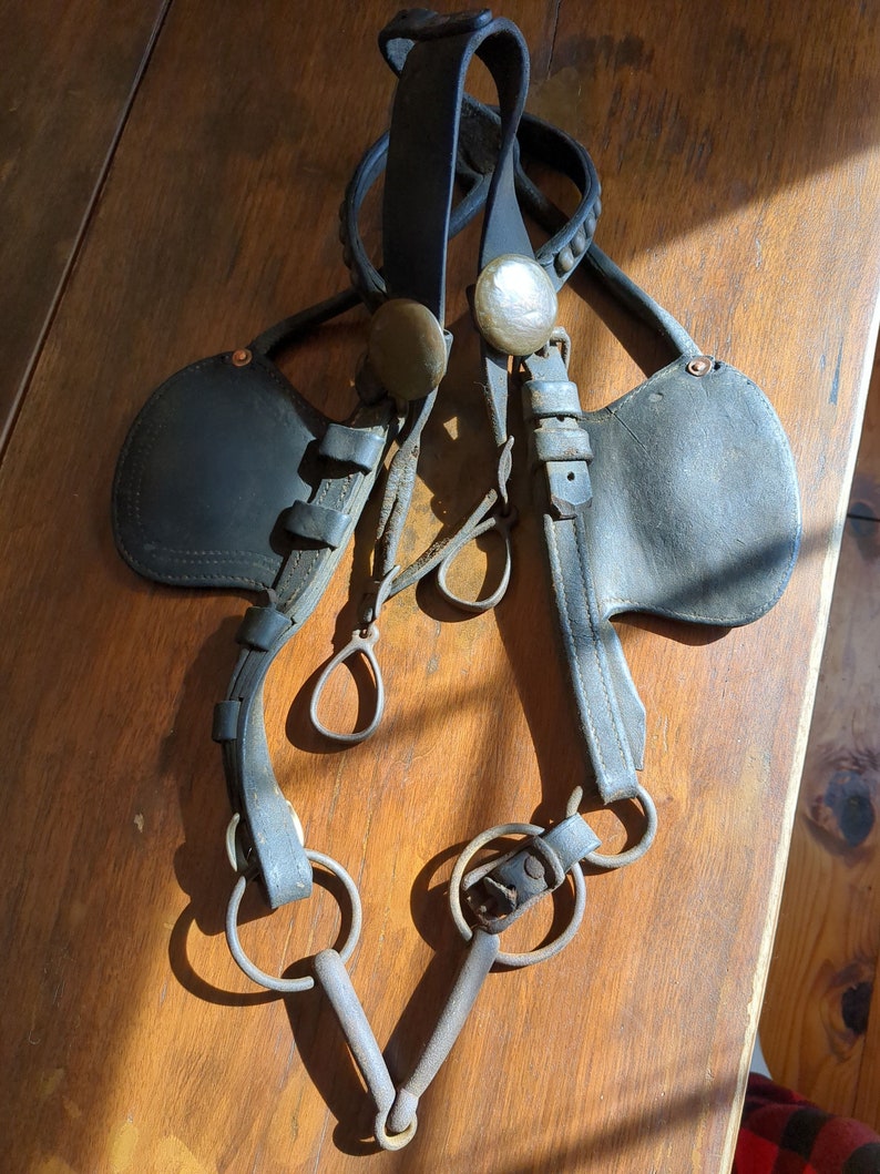 Antique, Primitive Horse Bridle/leather/brass Buckles, Brass Rosettes ...