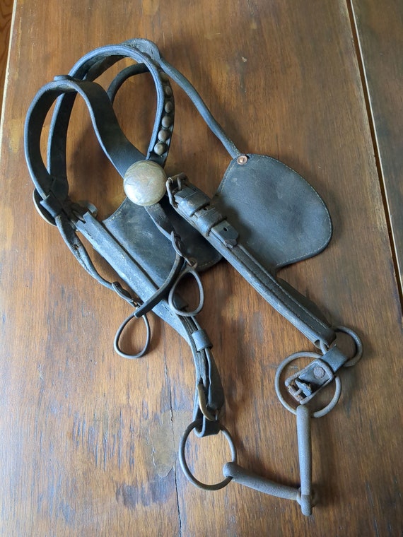Antique Horse Bridles
