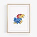 Kansas Jayhawk Art Print | Officially Licensed Product | University of ...