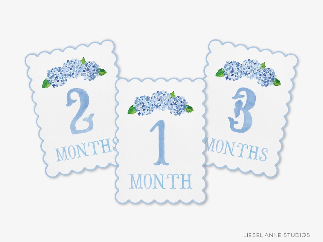 Blue Hydrangea Scalloped Monthly Milestone Cards | by the Month Baby ...