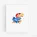 Kansas Jayhawk Art Print | Officially Licensed Product | University of ...