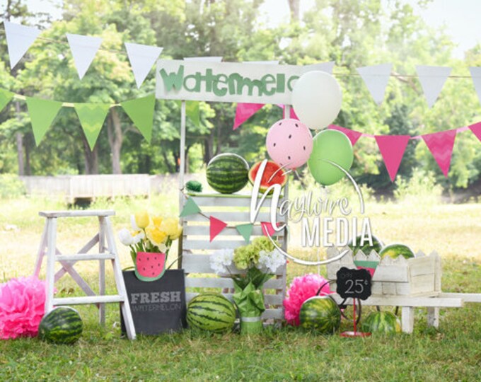 Watermelon Stand Complete With Accessories - Etsy