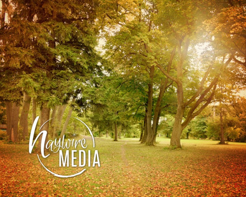 Beautiful Fall Outdoor Nature Backdrop Scene With Grass & - Etsy