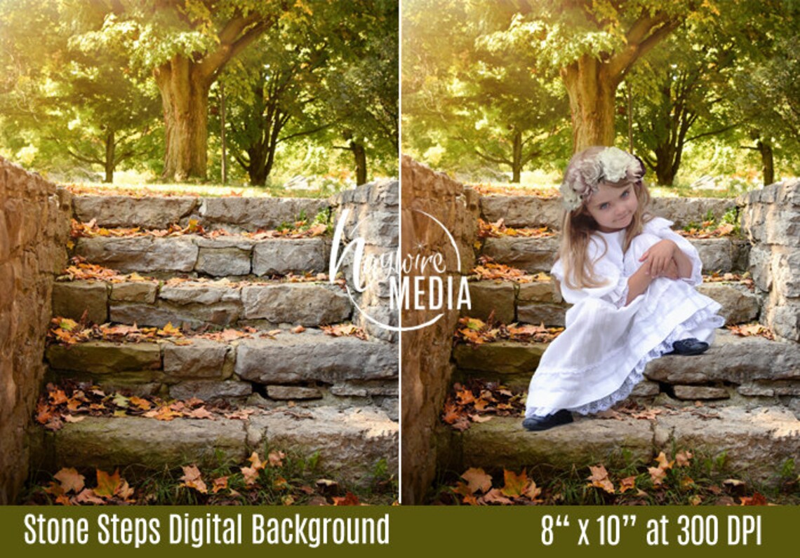 Beautiful Outdoor Nature Stone Steps With Trees Spring | Etsy