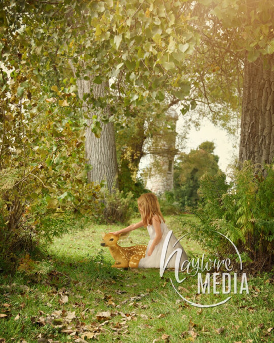 Children's Magical Baby Deer Animal in the Woods Forest - Photography ...