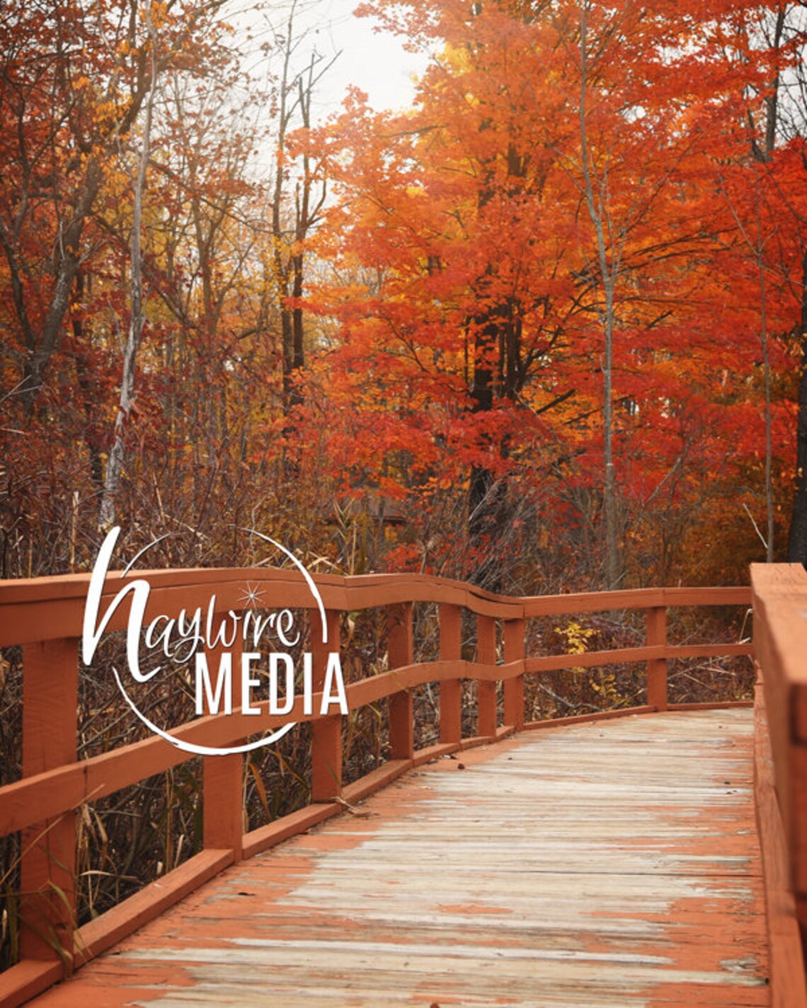 Fall Nature Wooden Bridge Backdrop Scene Family or Child - Etsy