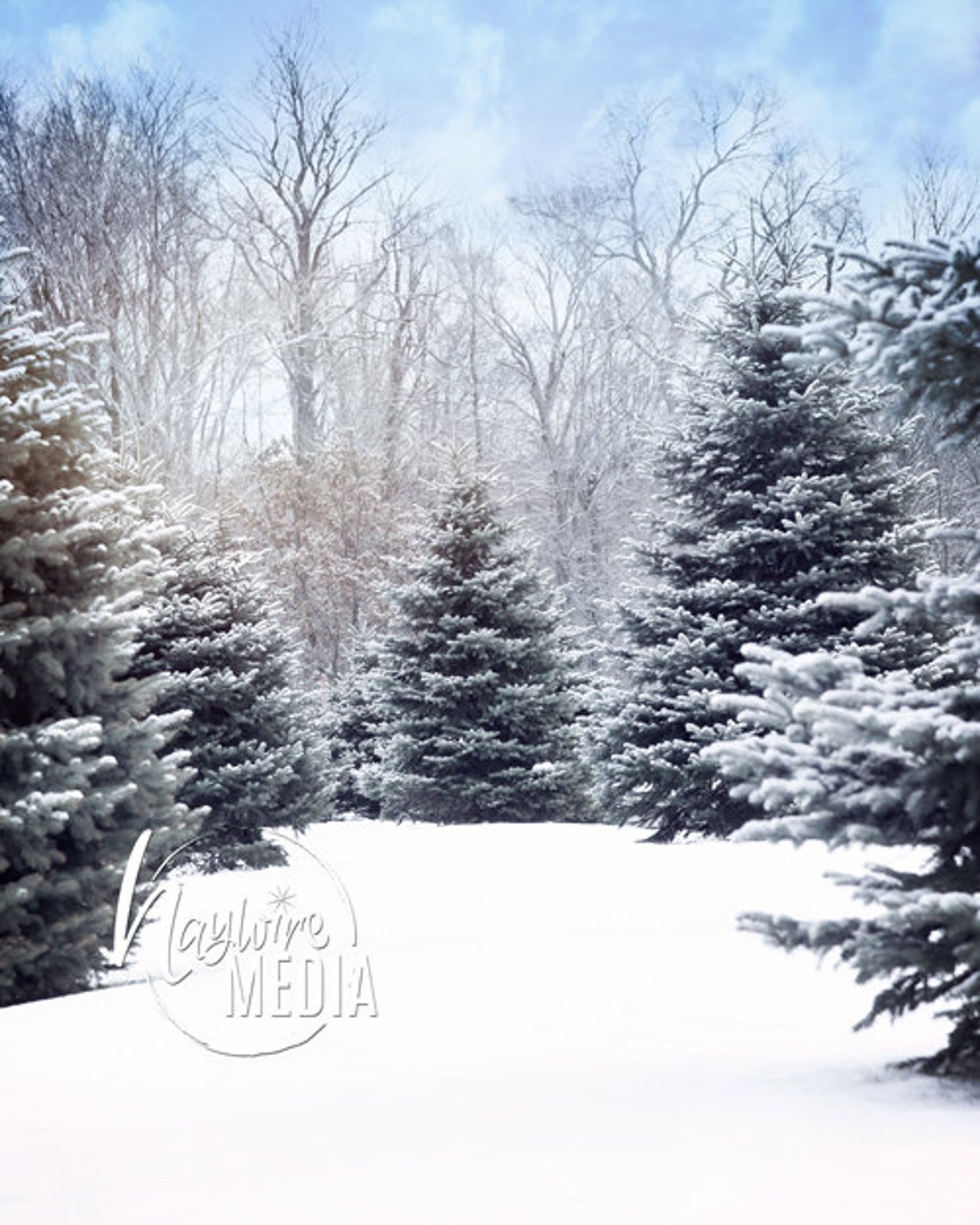 Child Adult Family Outdoor Winter Snow Trees Photography | Etsy