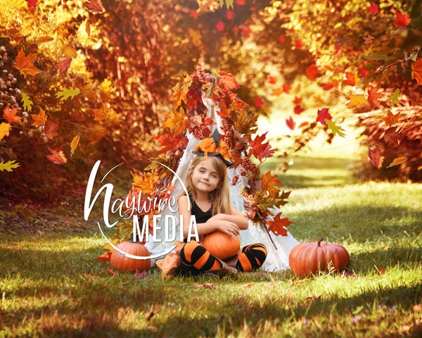 Fall Canopy Digital Backdrop: Outdoor Nature Scene (JPG Instant ...