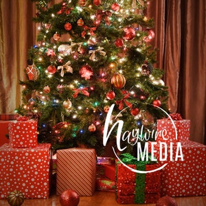 Baby, Toddler, Child, Winter Window & Christmas Tree in Background ...