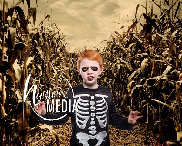 Outdoor Horror Scary Halloween Cornfield Backdrop Scene - Digital ...