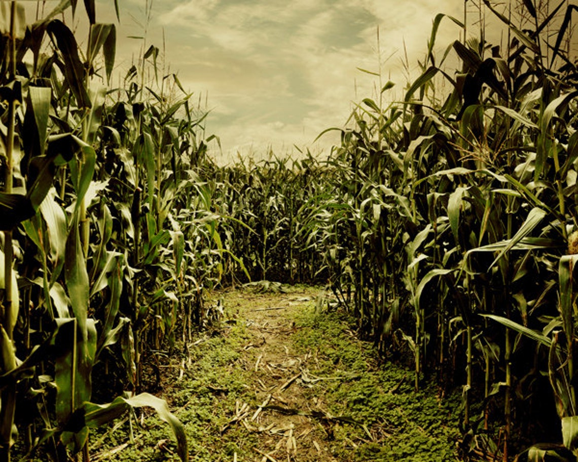 Outdoor Horror Scary Halloween Cornfield Backdrop Scene | Etsy