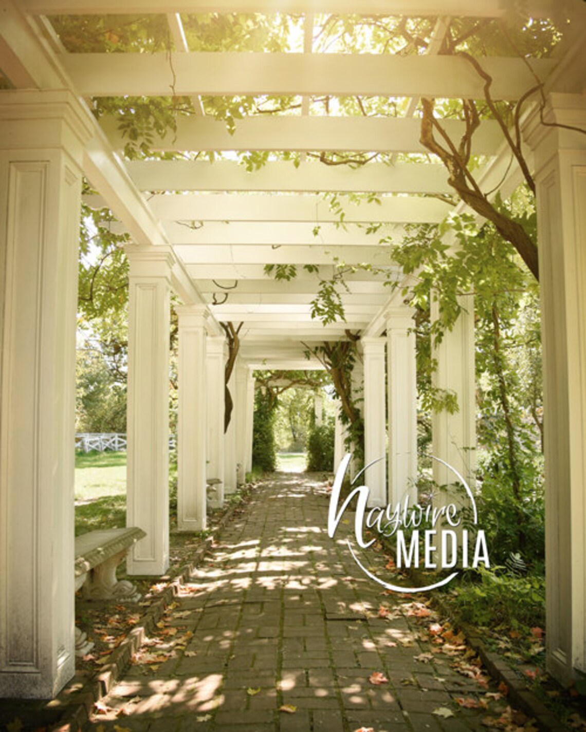 Beautiful Outdoor Nature Arbor Spring Backdrop Scene Digital | Etsy