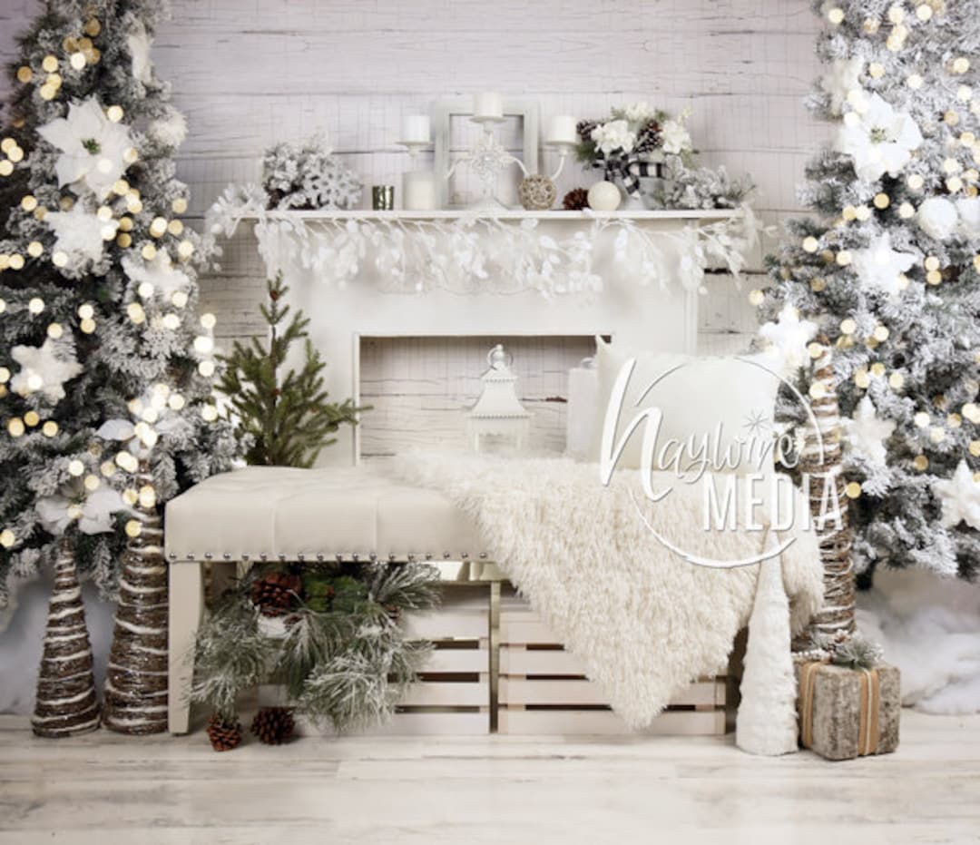 Christmas Photo Backdrops