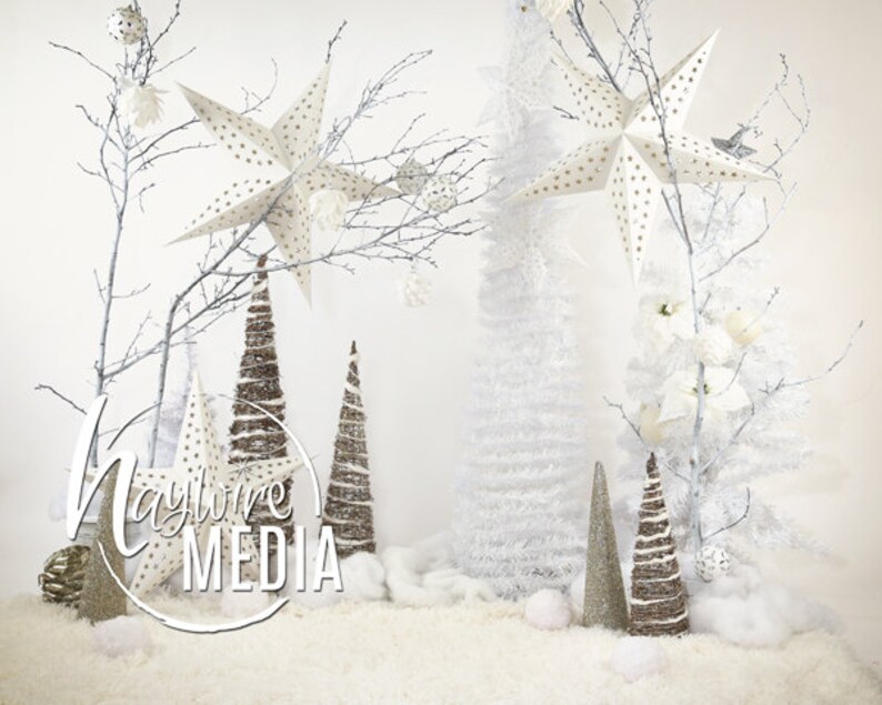 Baby Toddler Child White Winter Tree Star Photography - Etsy