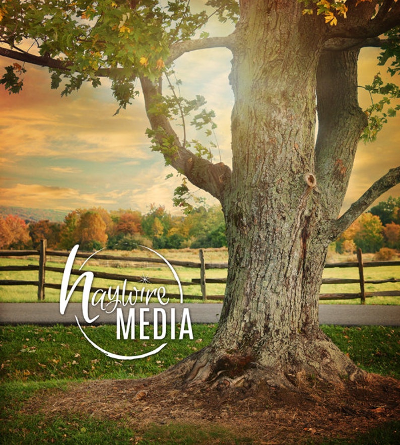 Beautiful Outdoor Fall Nature Tree and Fence Digital Backdrop ...
