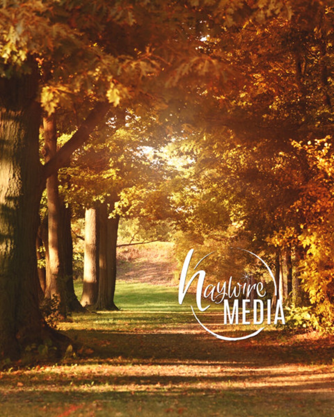 Outdoor Fall Nature Trail Path Backdrop Scene for Children or Adults ...