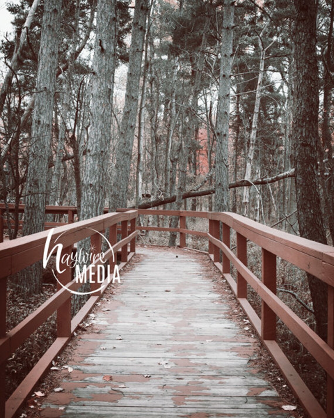 Winter Outdoor Nature Wooden Bridge Backdrop Scene for | Etsy