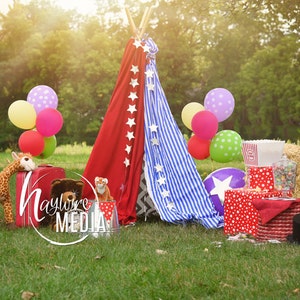 Baby, Child, Circus Theme Photography Digital Backdrop Background Prop ...