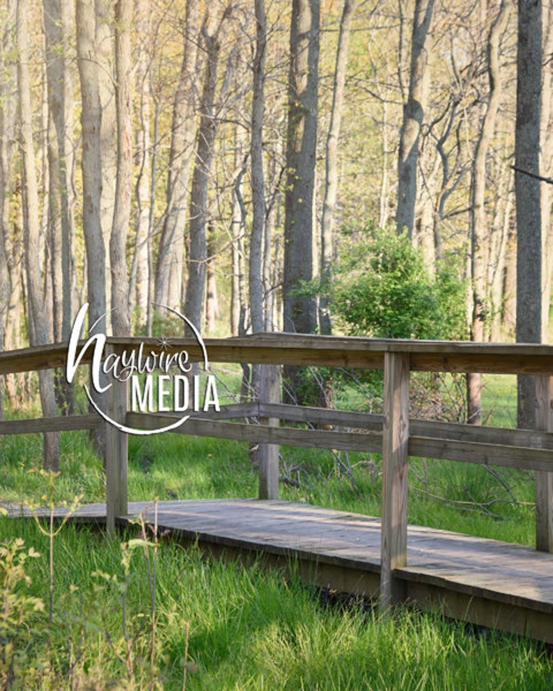 Outdoor Spring Nature Wooden Bridge Backdrop Scene for - Etsy