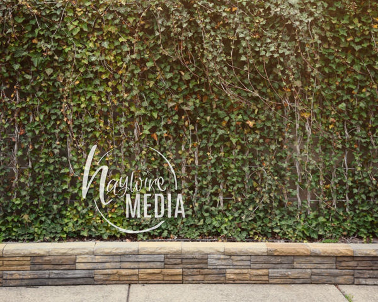 Beautiful Ivy Wall Plant Vines Wedding Nature Backdrop Scene - Etsy