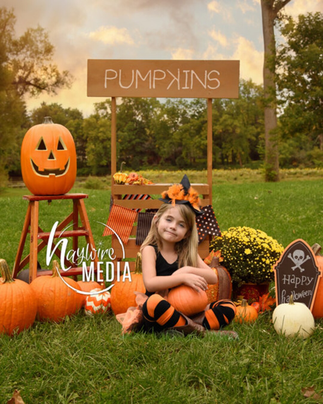 Pumpkin Stand Booth Digital Backdrop: Halloween Fall Photo (JPG) - Etsy ...