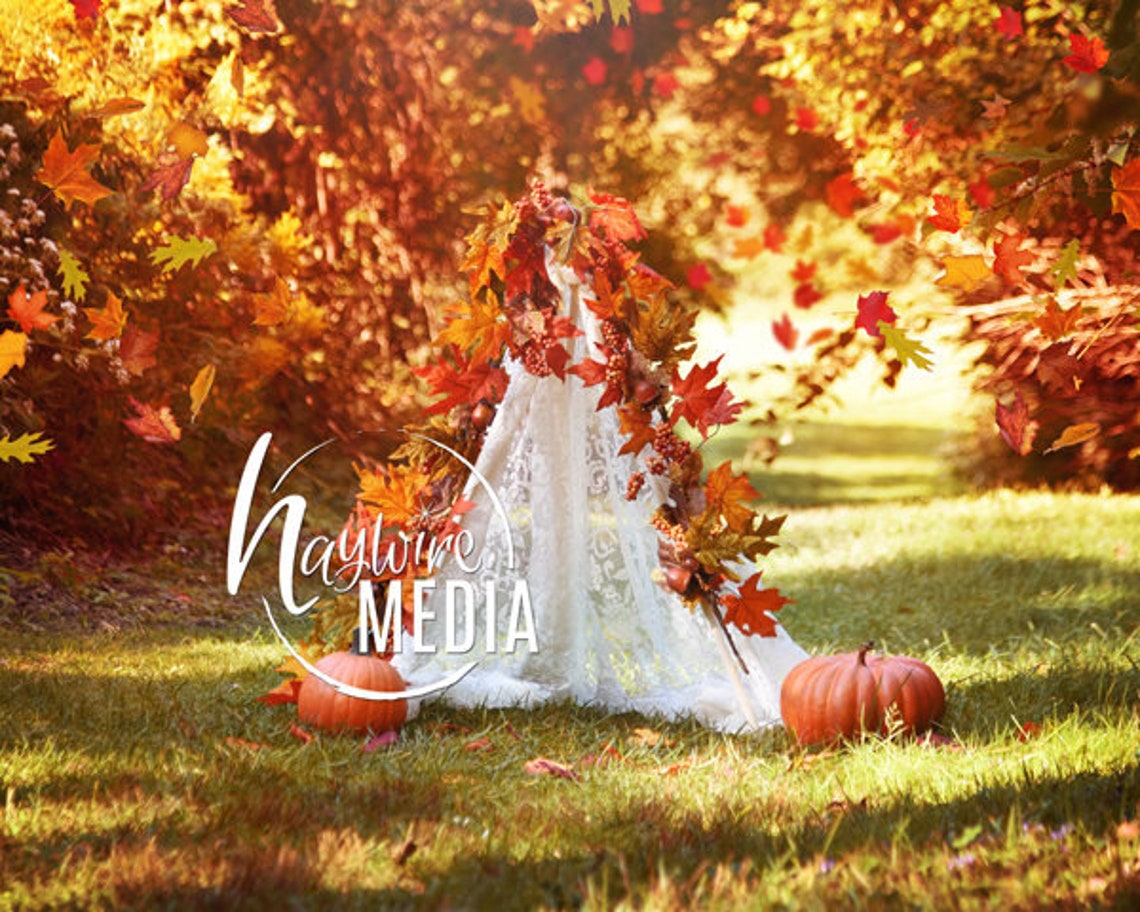 Fall Canopy Digital Backdrop: Outdoor Nature Scene (JPG Instant ...