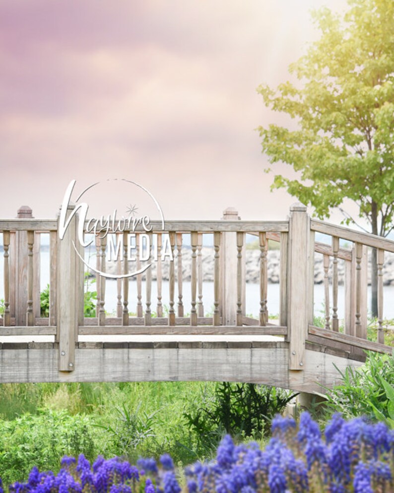 Beautiful Outdoor Nature Bridge Backdrop Scene Digital - Etsy