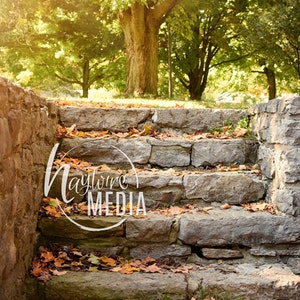 Beautiful Outdoor Nature Stone Steps With Trees - Spring Backdrop Scene ...