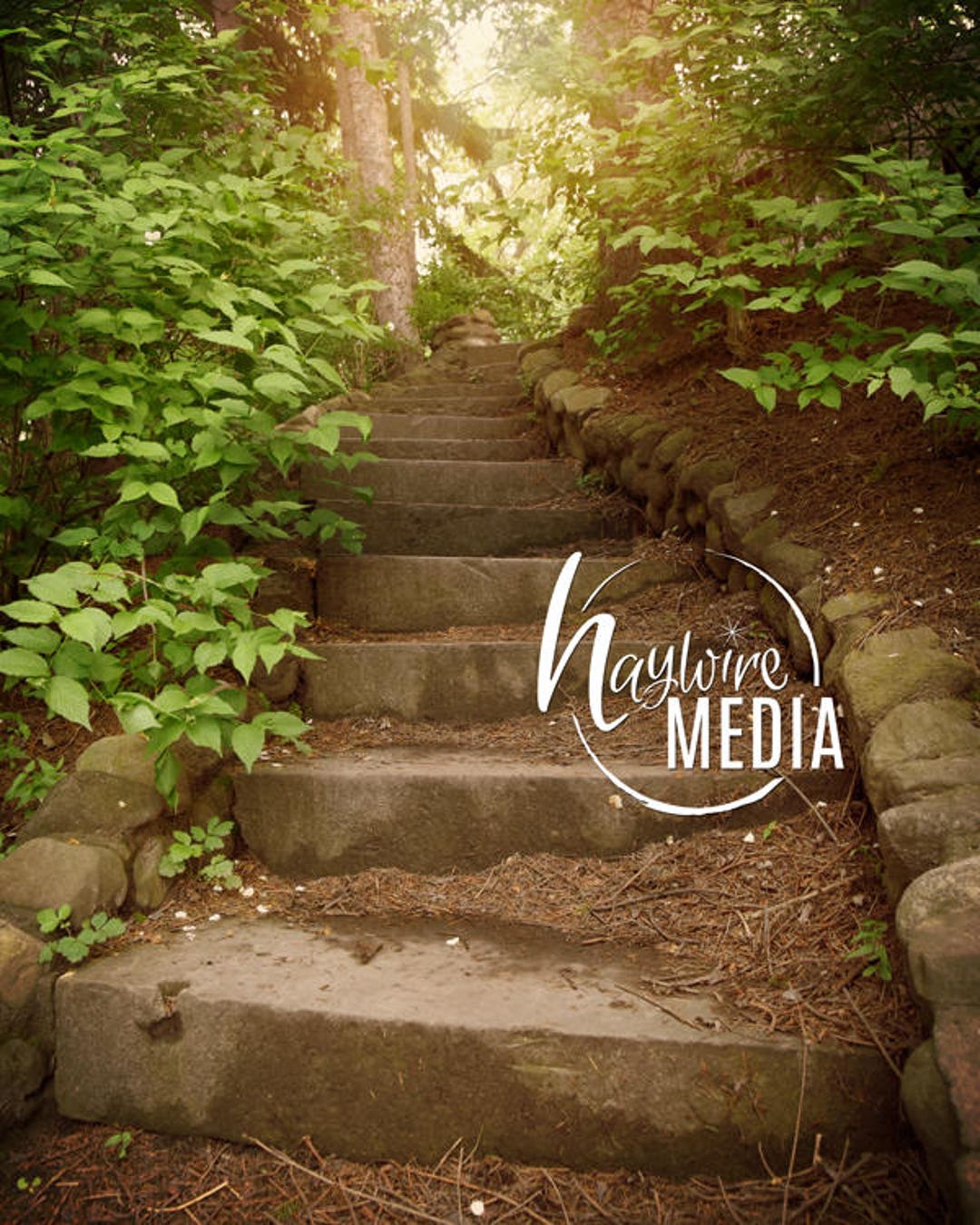 Beautiful Outdoor Nature Trail, Tree Rock Steps - Spring Backdrop Scene ...