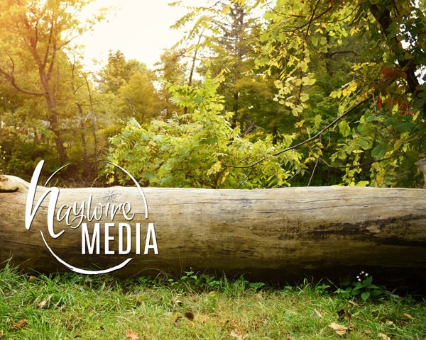 Beautiful Outdoor Nature Wooden Log Backdrop Scene Digital | Etsy
