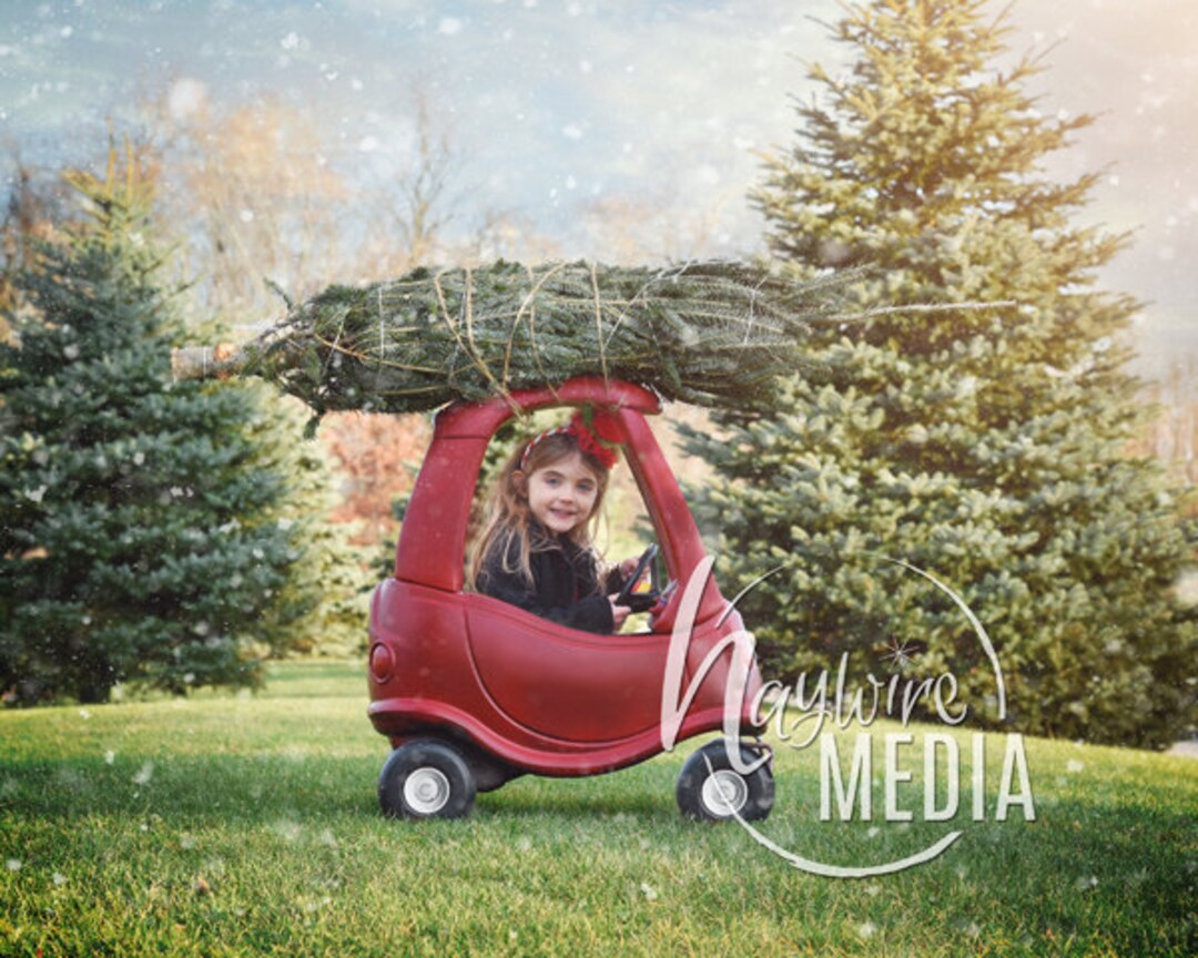Holiday Christmas Tree Little Car Children's Portrait Outside for ...