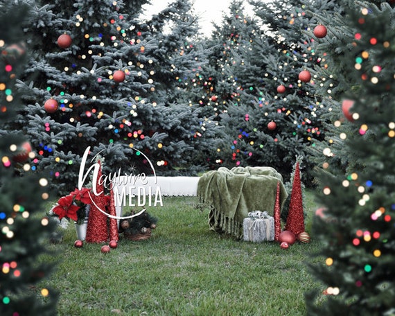 Christmas Tree Photography