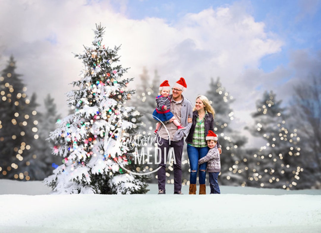 Christmas Tree Family Outdoor Winter Snow Photography Digital Nature ...