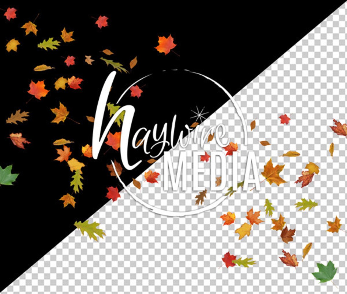2 PNG Versions of Fall Leaves Falling on a Transparent Digital - Etsy