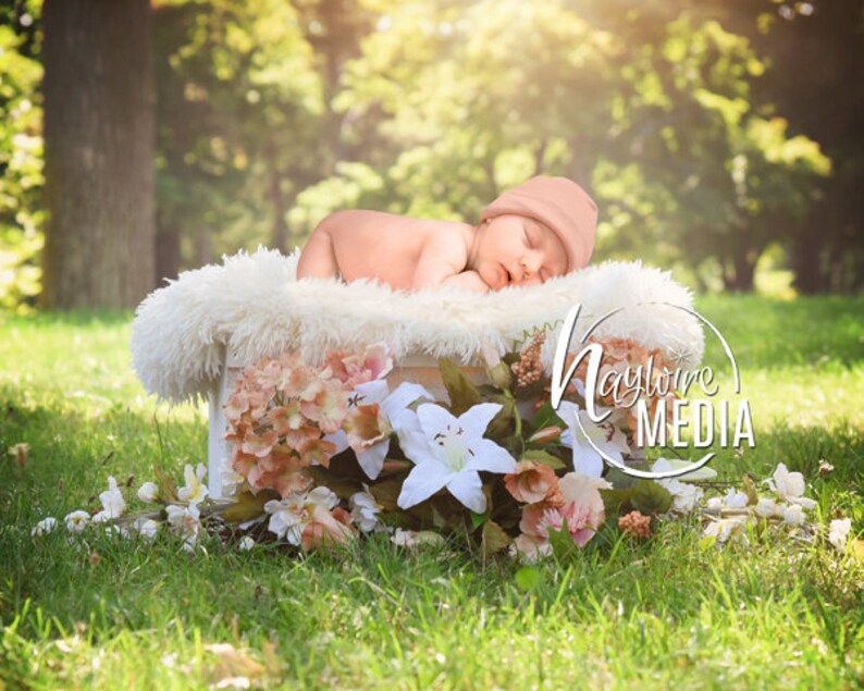 Newborn Baby Child Wooden Crate With Flowers Nature Scene - Etsy