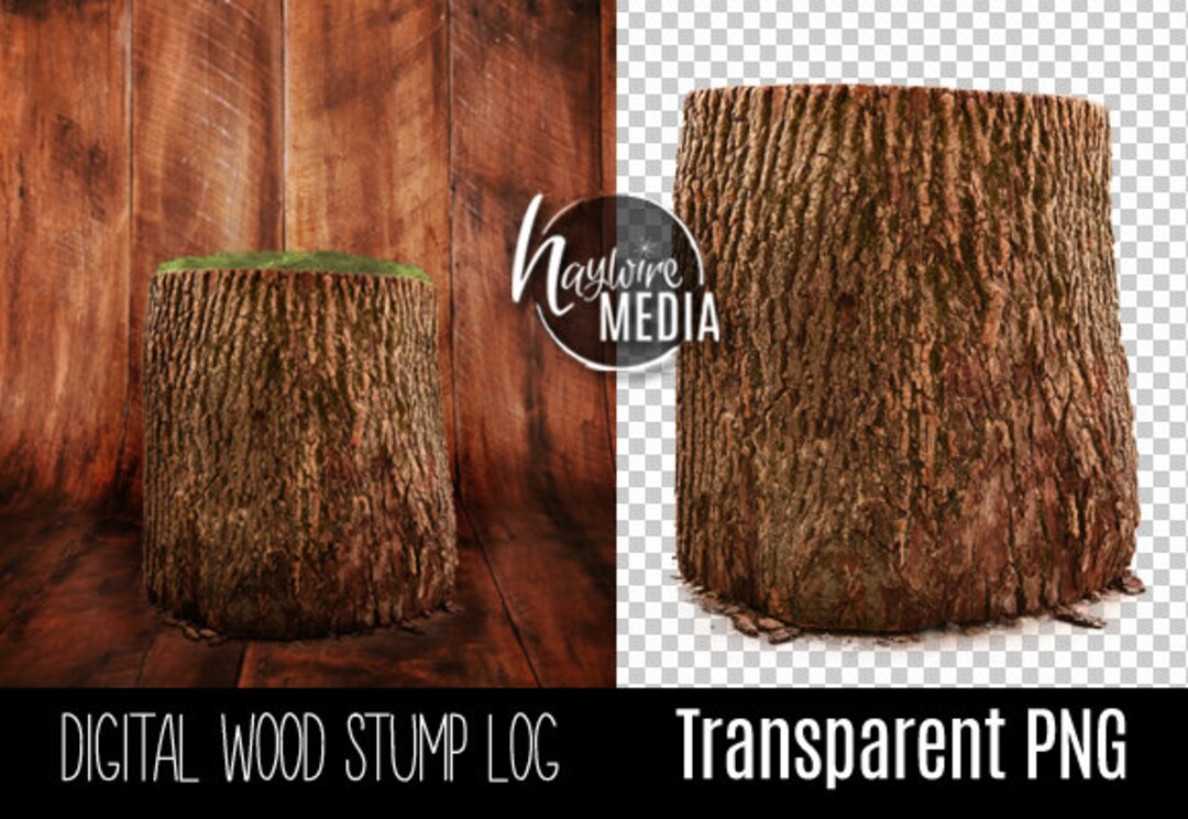 Tree Stump Digital Prop: Transparent PNG for Baby Photography (instant ...