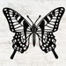 Swallowtail Butterfly Outline SVG Digital Download - Butterfly Design ...