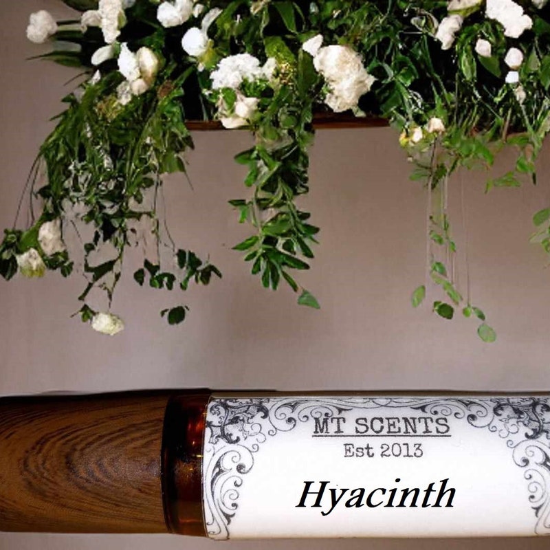 Water Hyacinth Plant - Etsy