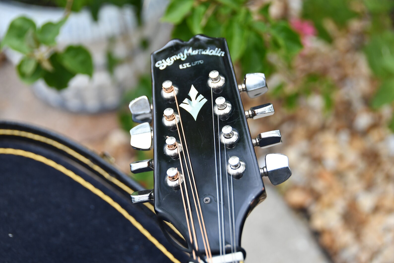 Sigma Mandolin With Case - Etsy