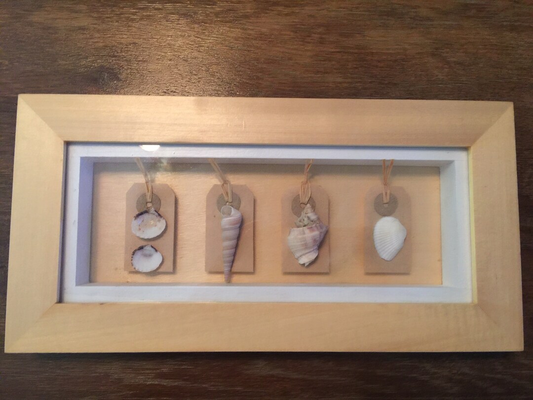 Seashell Wall Accent With Encased Seashells Covered in Natural - Etsy