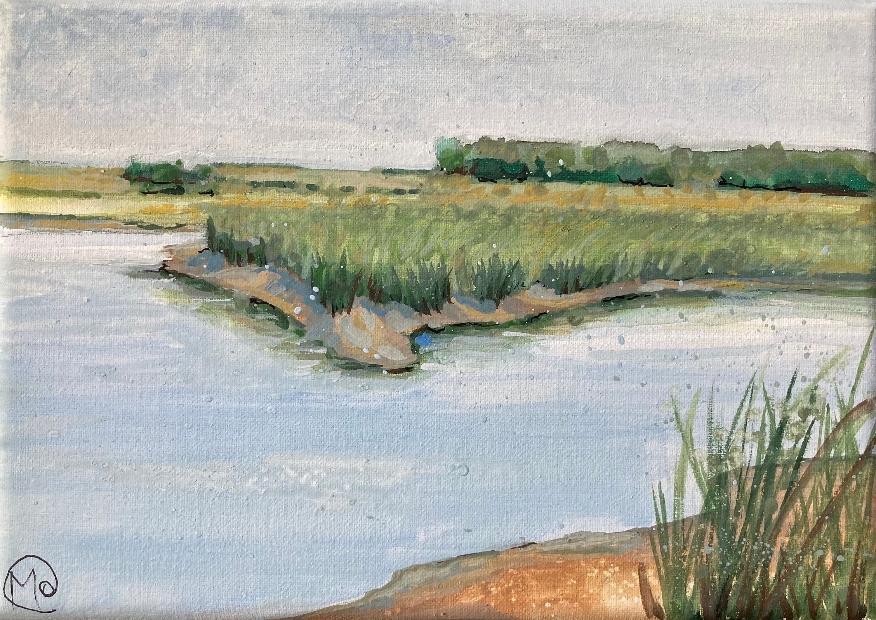 Salt Marsh Drawing