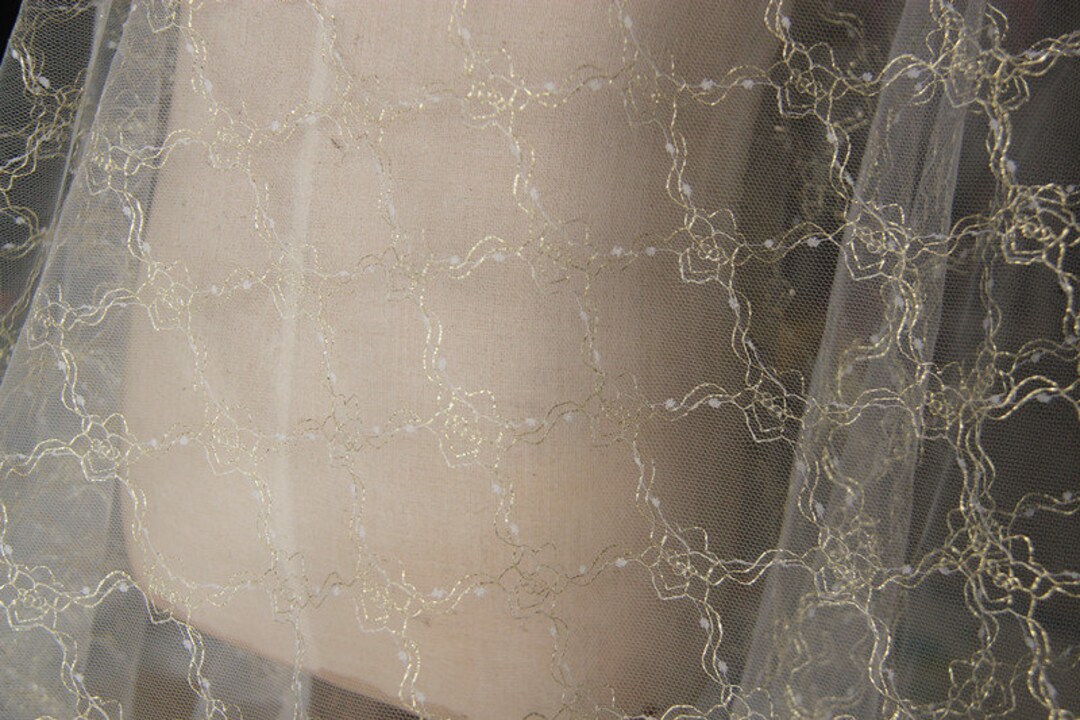Lace Fabric 2 Yard Transparent Mesh Tulle Gauze Gold Embroidered Sewing ...