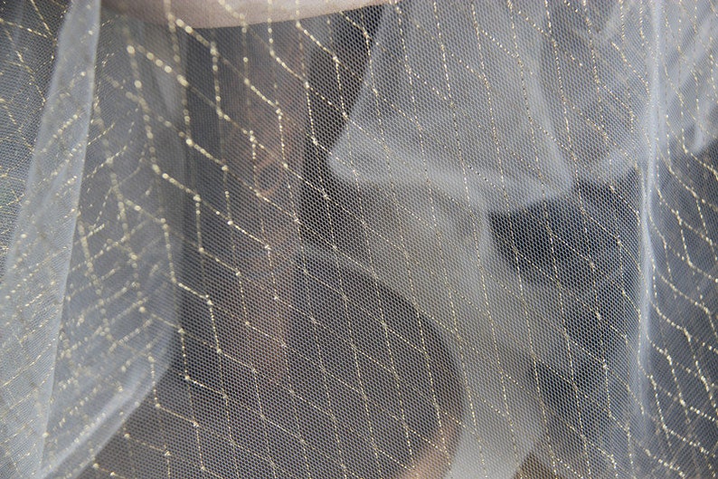 Lace Fabric 2 Yard Ivory Black Transparent Mesh Tulle Gauze Gold ...