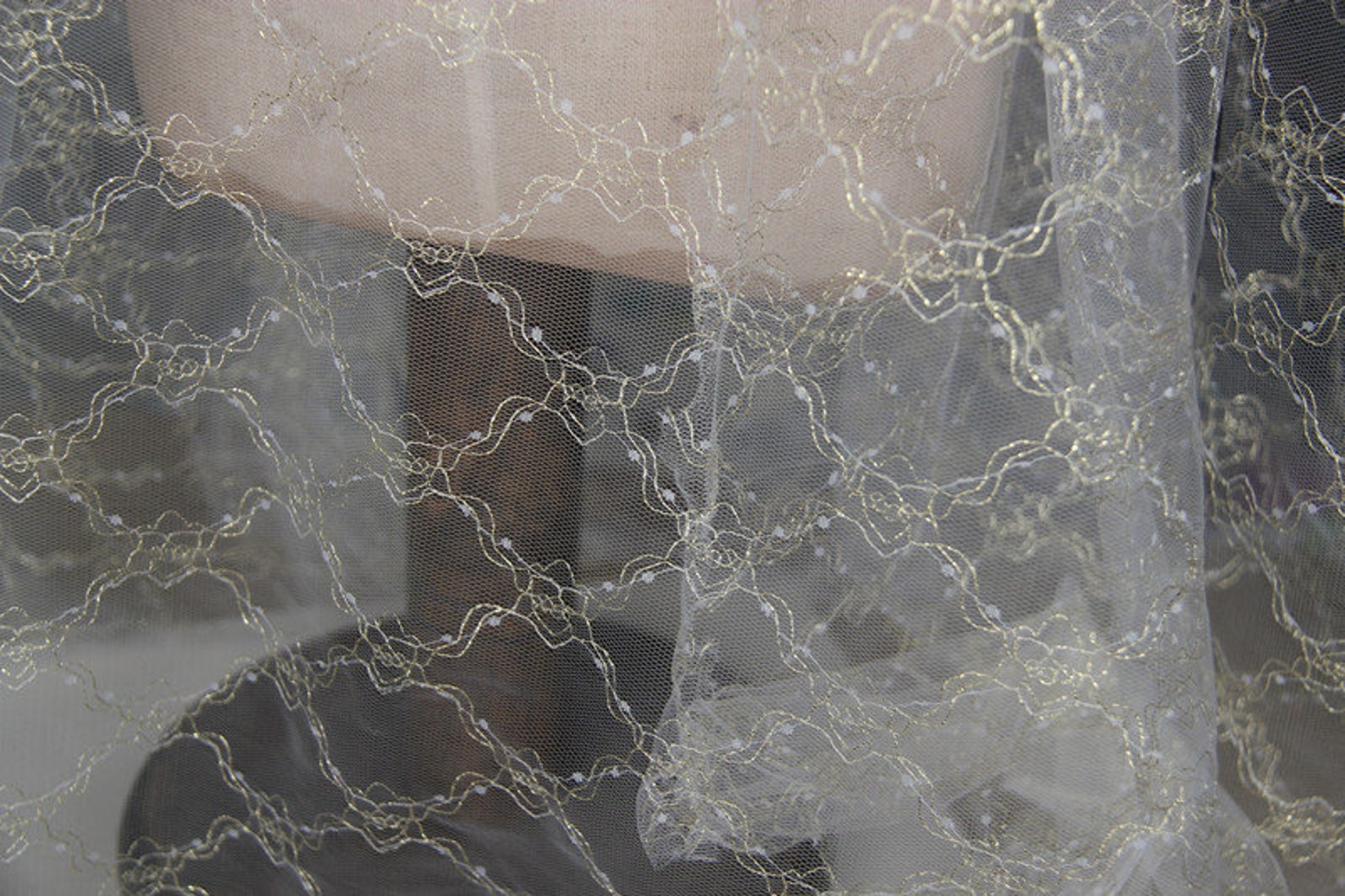 Lace Fabric 2 Yard Transparent Mesh Tulle Gauze Gold Embroidered Sewing ...