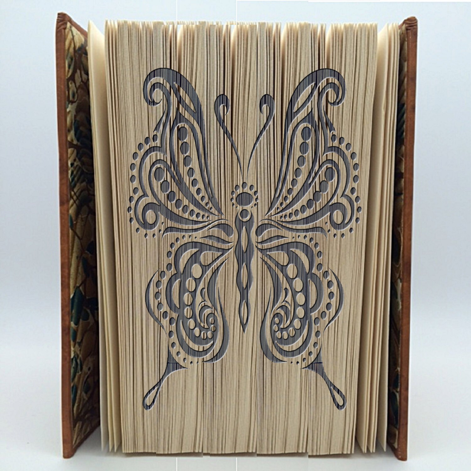 Cut & Fold Book Folding PATTERN Butterfly 5 Fold Mark and | Etsy