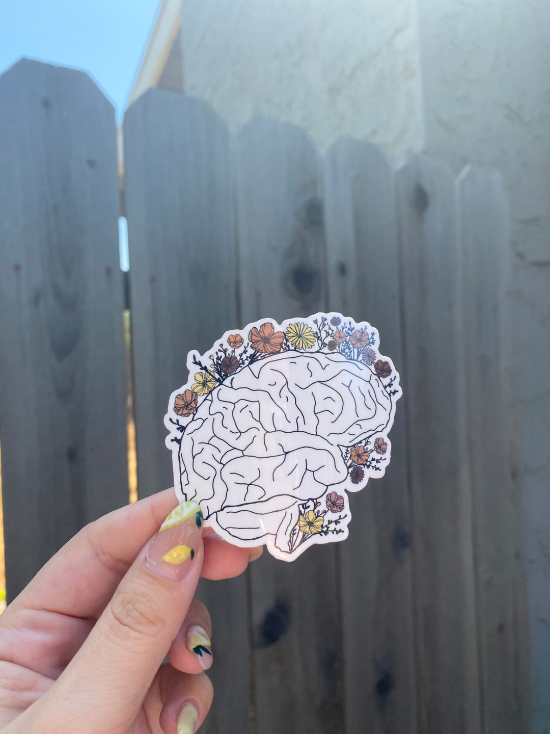Brain With Florals Anatomy Sticker - Vinyl Sticker - Stickers for ...