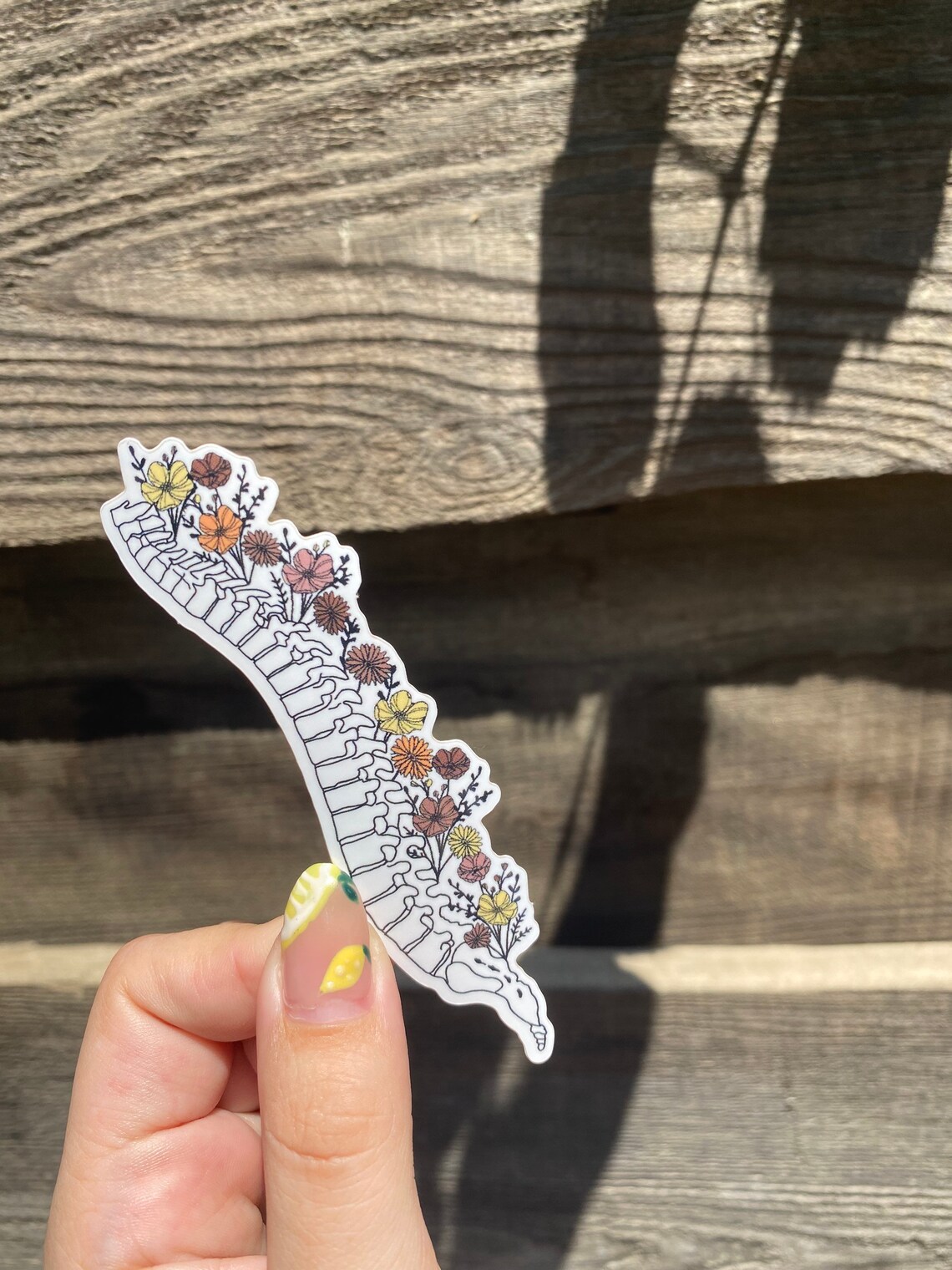 Spine Anatomy Sticker Spine With Florals Vinyl Sticker - Etsy